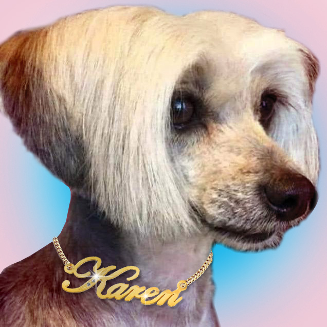 Bad Dog Owners: 5 Types To Avoid And How To Fix!